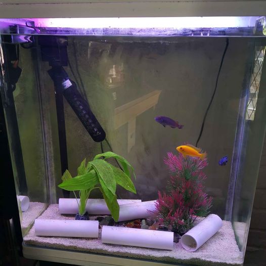 For Sale: - Boyu Fish Tank | Tropical Aquariums SA