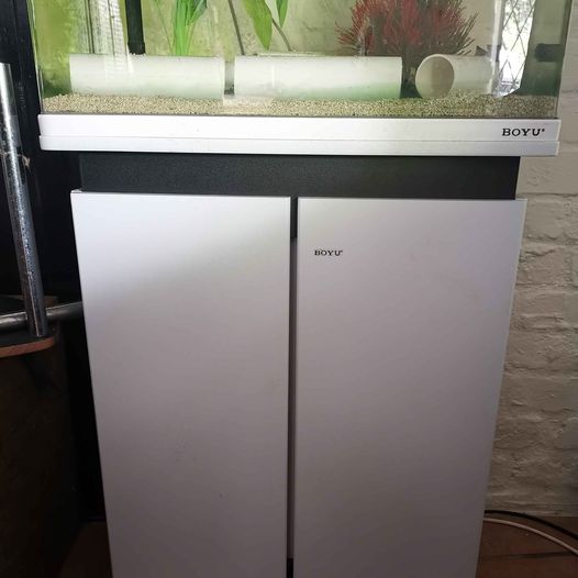 For Sale: - Boyu Fish Tank | Tropical Aquariums SA