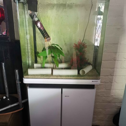 For Sale: - Boyu Fish Tank | Tropical Aquariums SA