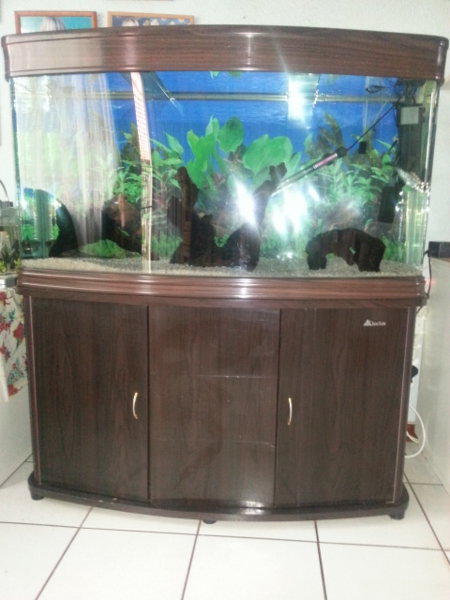 For Sale: - Complete 4Ft tank | Tropical Aquariums SA