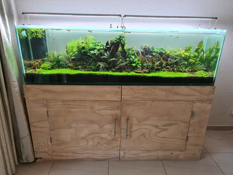 For Sale: - 6 FT tank with sump | Tropical Aquariums SA