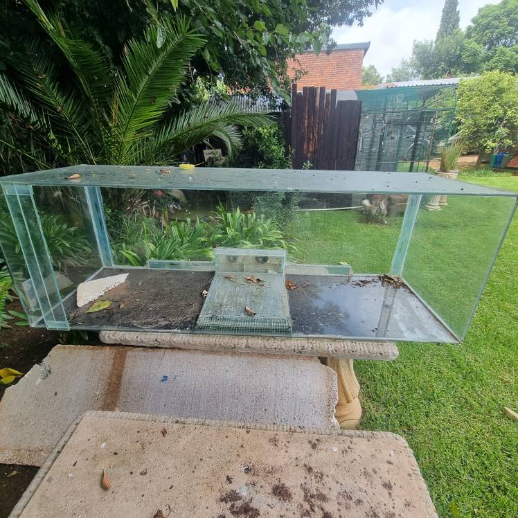 For Sale: - 6ft Tank and stand | Tropical Aquariums SA