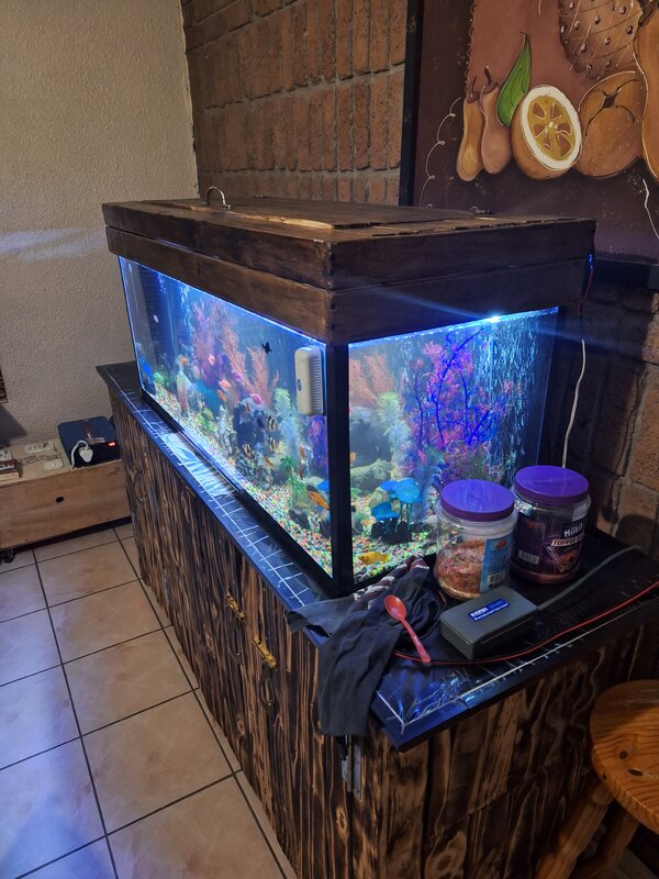 For Sale: - Complete 4ft setup with extras for sale | Tropical Aquariums SA