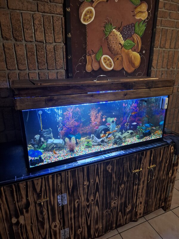For Sale: - Complete 4ft setup with extras for sale | Tropical Aquariums SA