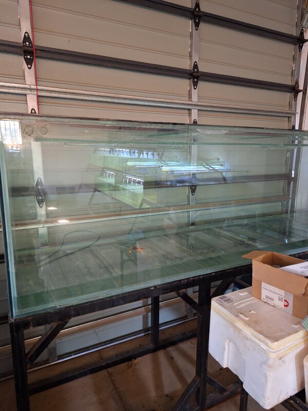 For Sale: - 3m tank | Tropical Aquariums SA