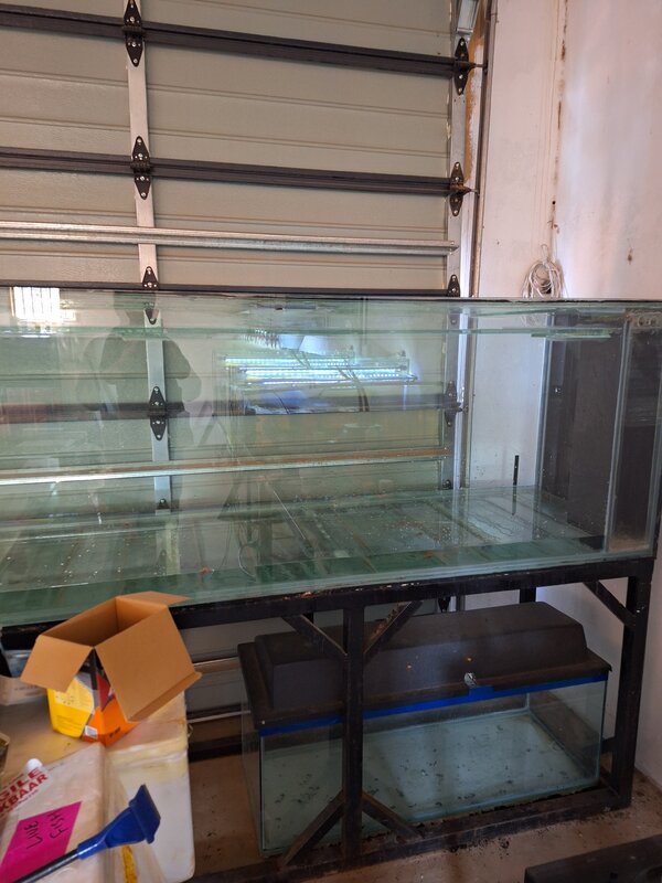 For Sale: - 3m tank | Tropical Aquariums SA