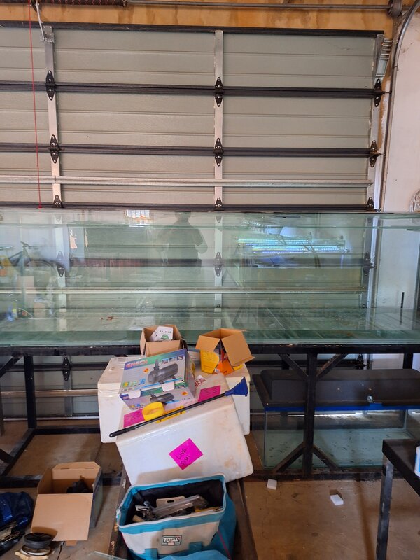 For Sale: - 3m tank | Tropical Aquariums SA