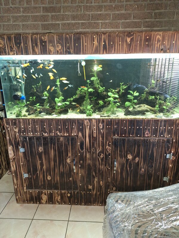 For Sale: - 600L aquarium for sale | Tropical Aquariums SA
