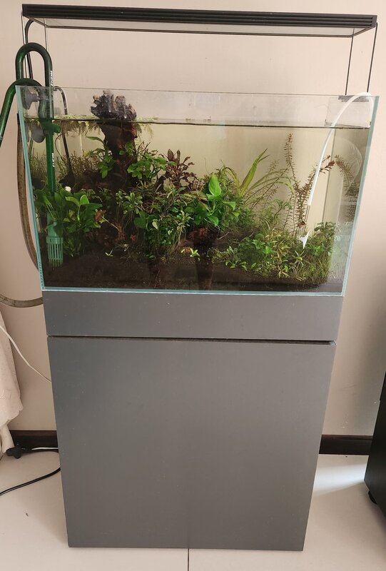 For Sale: - Complete 60p scape | Tropical Aquariums SA