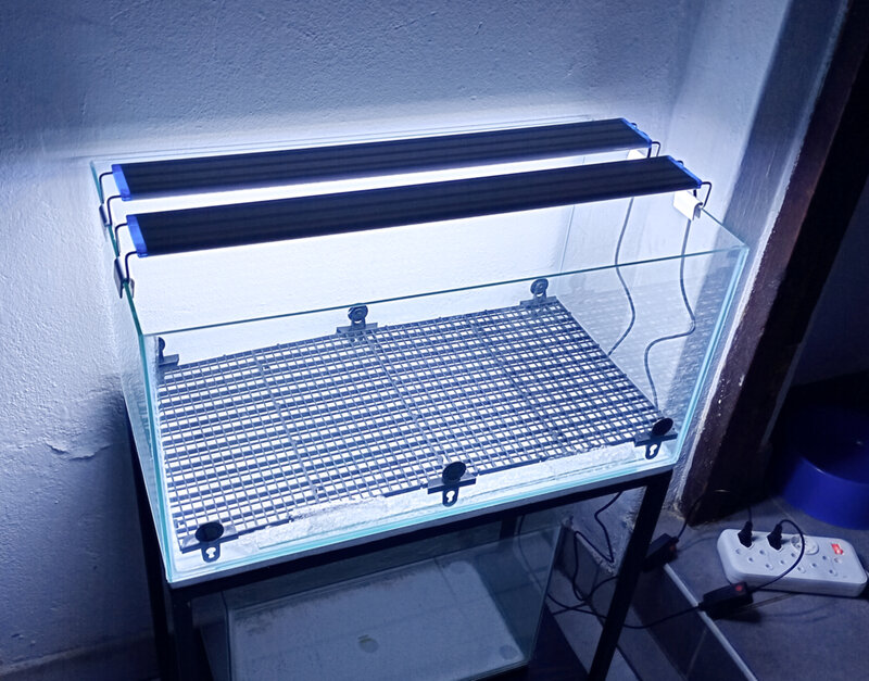 Temu "Seven Master" 58cm LED light review | Tropical Aquariums SA