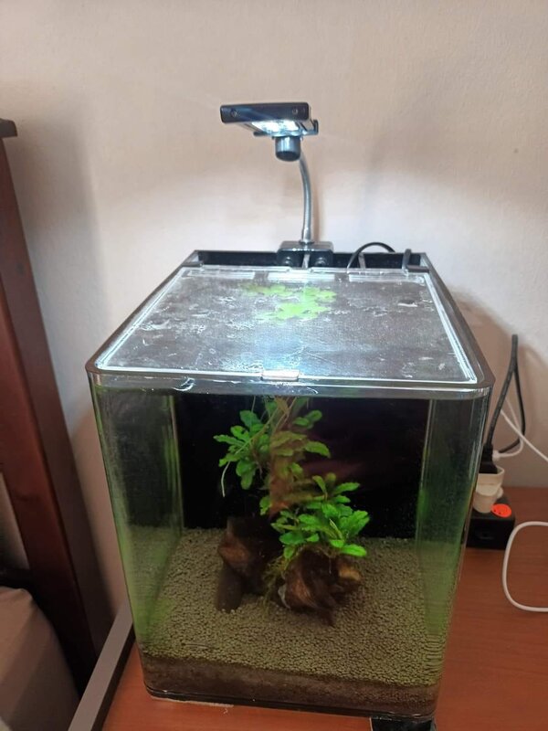For Sale: - Dymax IQ5 | Tropical Aquariums SA