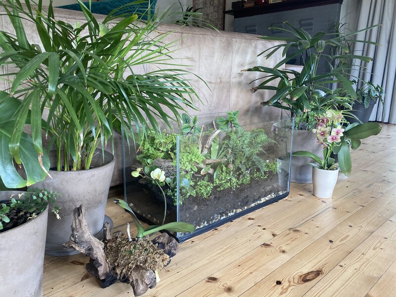 Terrarium in a cracked tank | Tropical Aquariums SA