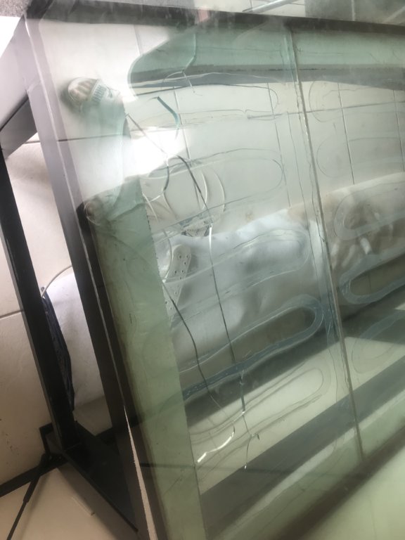 New ray tank | Page 3 | Tropical Aquariums SA