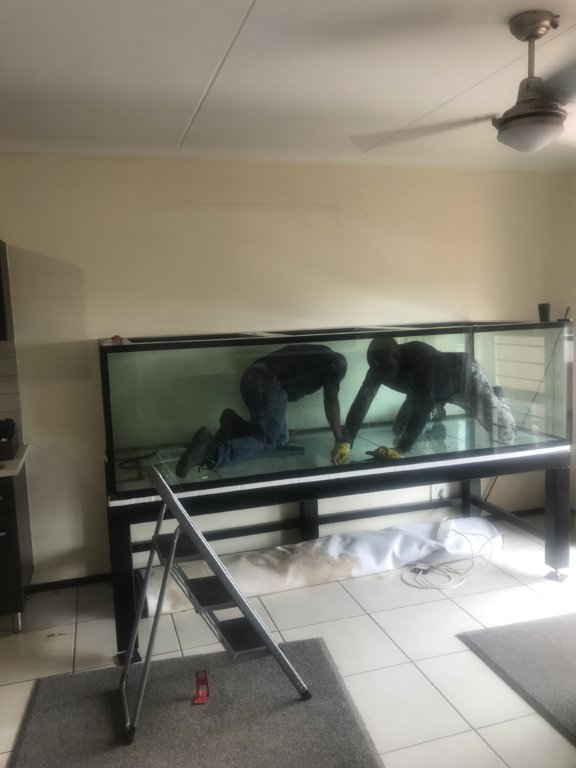 New ray tank | Page 3 | Tropical Aquariums SA