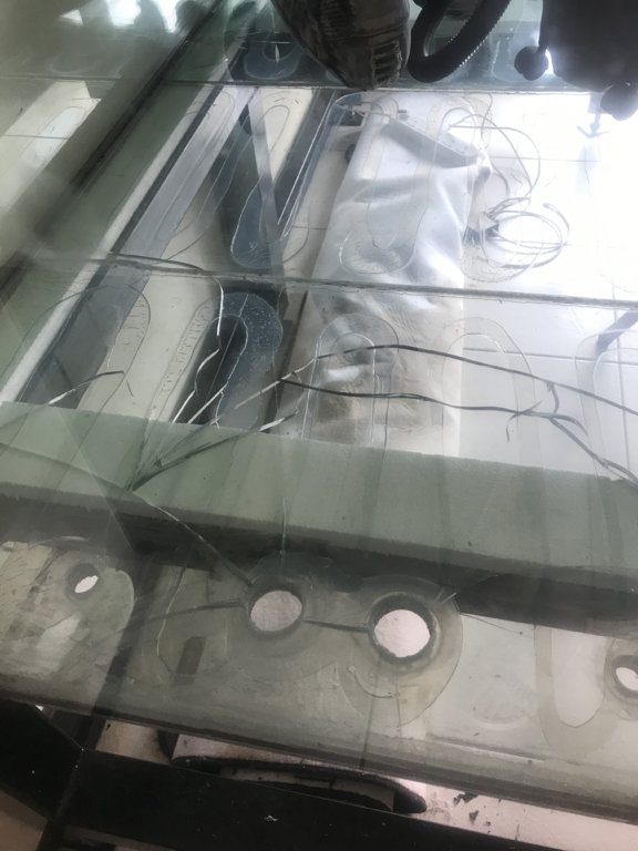 New ray tank | Page 3 | Tropical Aquariums SA