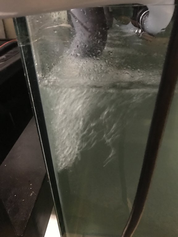 New ray tank | Page 5 | Tropical Aquariums SA