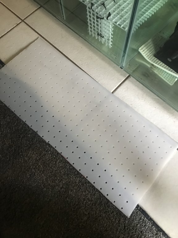 New ray tank | Page 7 | Tropical Aquariums SA