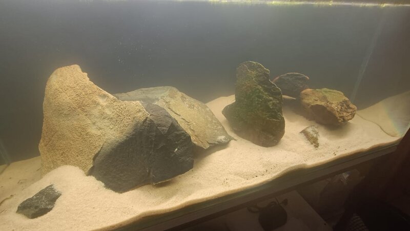 New 240L dirted/planted nano fish tank | Tropical Aquariums SA