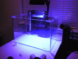 Aqua h20 Curved Tank | Tropical Aquariums SA
