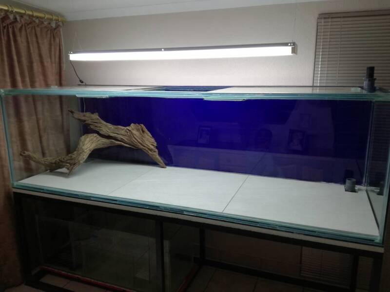My final 1400L dream tank | Page 8 | Tropical Aquariums SA