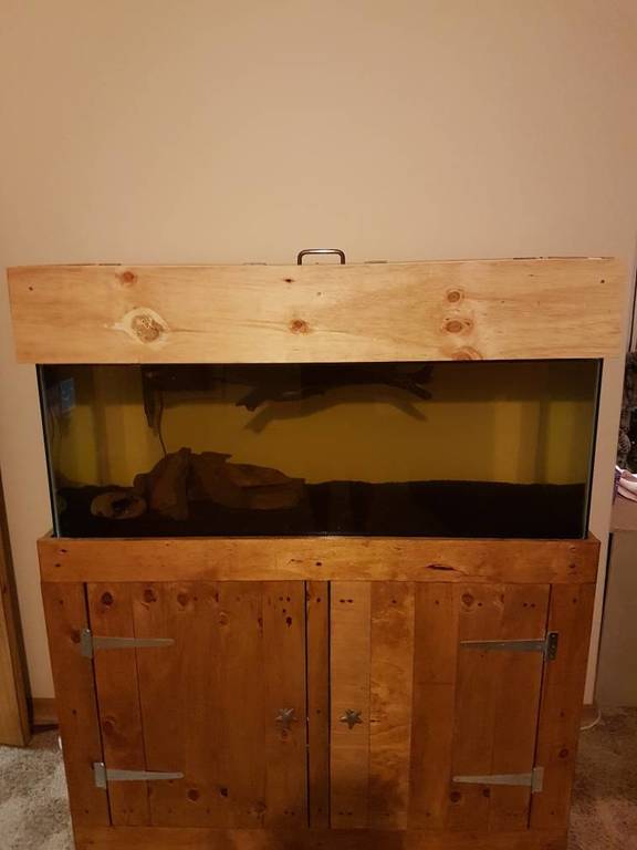 4ft cabinet build and setup | Page 2 | Tropical Aquariums SA
