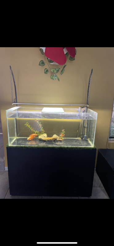 For Sale: - 3 foot aquarium | Tropical Aquariums SA