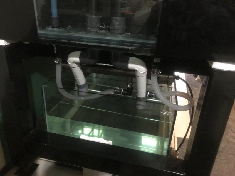 New ray tank | Page 4 | Tropical Aquariums SA