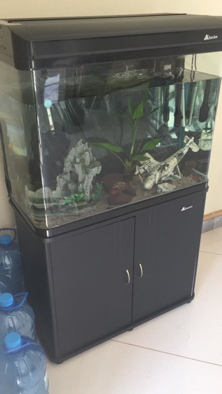 My "new" 4ft tank | Page 3 | Tropical Aquariums SA