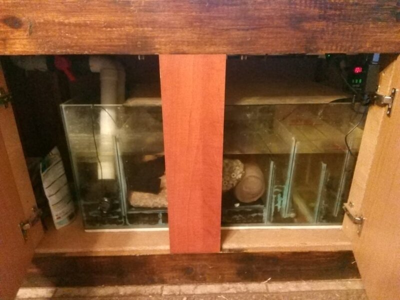 For Sale: - 4 foot Tank | Tropical Aquariums SA