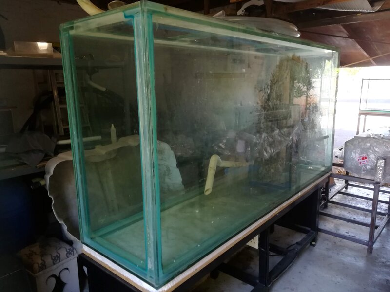 For Sale: - 2.2m x .600w x 1.1m h. Fish Tank | Tropical Aquariums SA