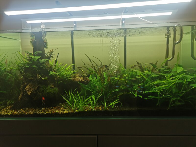 For Sale: - 120p setup for sale | Tropical Aquariums SA