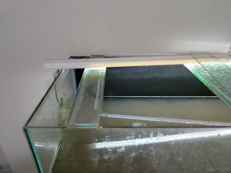 For Sale: - 4ft tank with stand | Tropical Aquariums SA