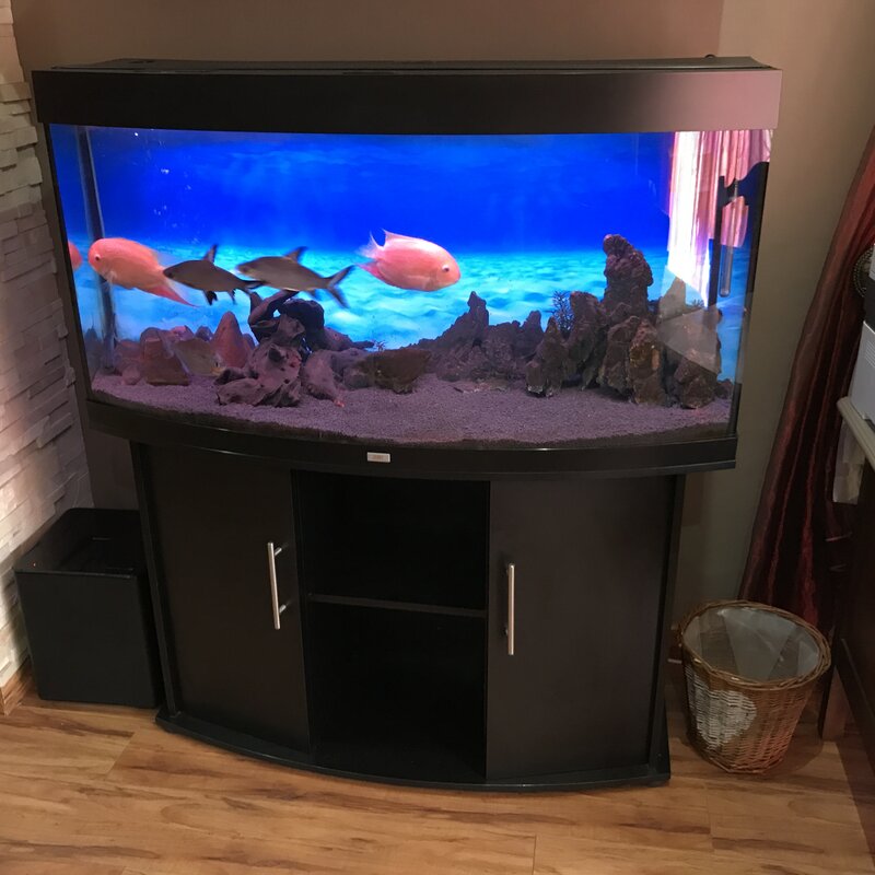 For Sale: - Juwel Vision 260 Complete Running Setup | Tropical Aquariums SA