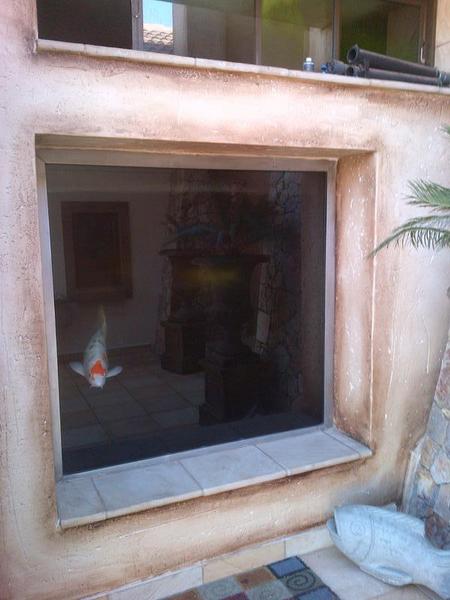 Viewing glass | Page 2 | Tropical Aquariums SA