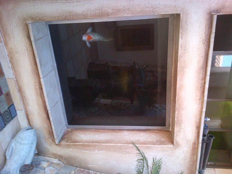 Viewing glass | Page 2 | Tropical Aquariums SA