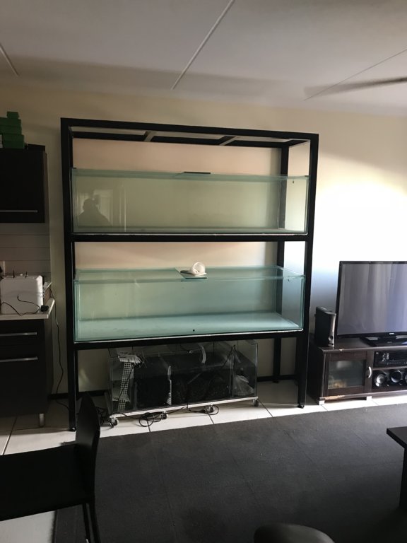 new 6 foot rack set up | Tropical Aquariums SA