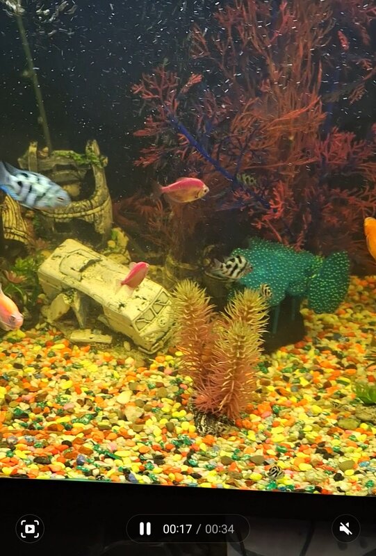 For Sale: - Complete 4ft setup with extras for sale | Tropical Aquariums SA