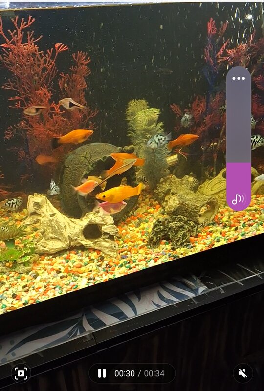 For Sale: - Complete 4ft setup with extras for sale | Tropical Aquariums SA