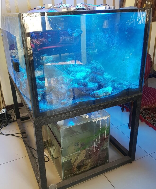 For Sale: - Starfire tank for sale | Tropical Aquariums SA