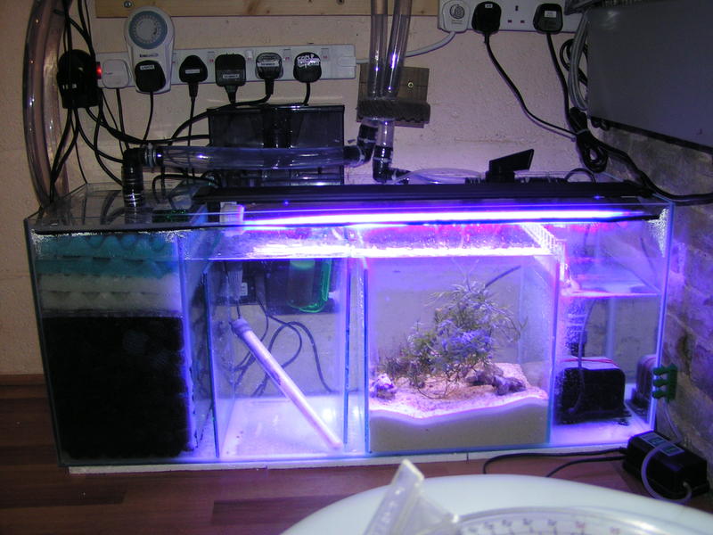 DIY Sump | Tropical Aquariums SA